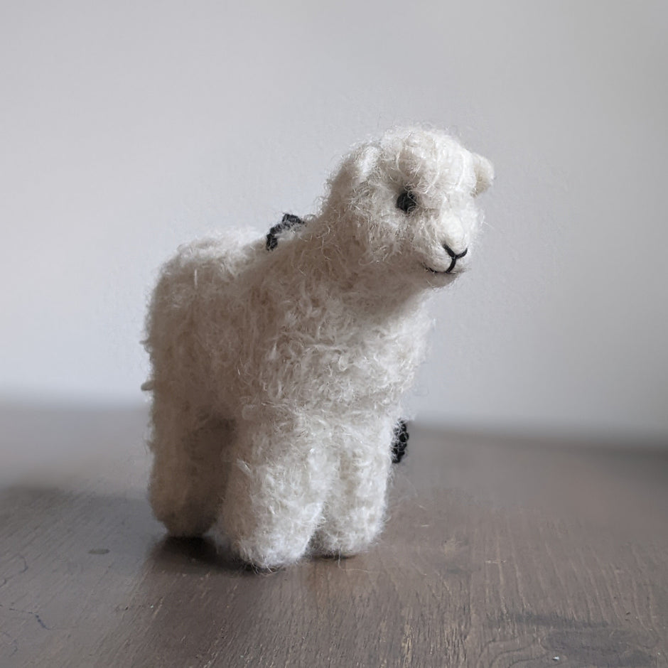 Wooly Friends – Jasper and Ruby Art