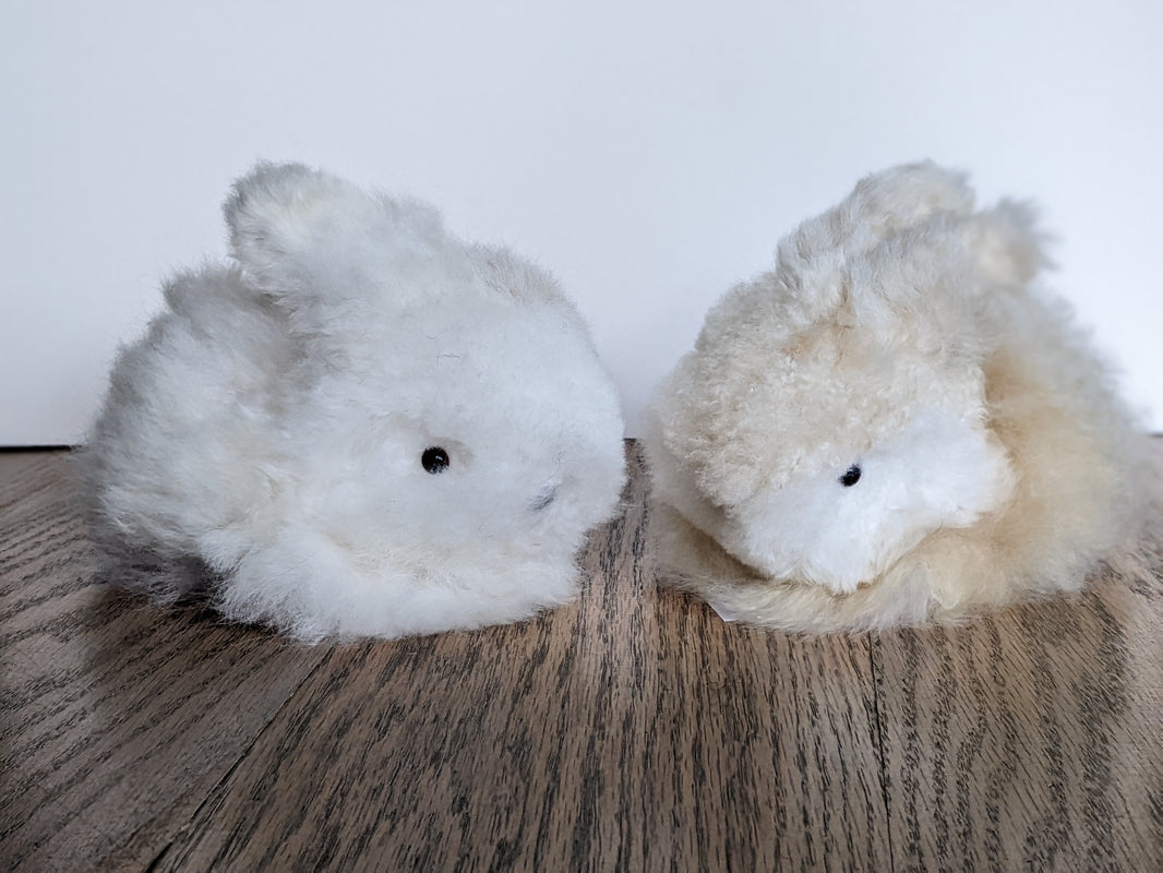 Wooly Friends – Jasper and Ruby Art