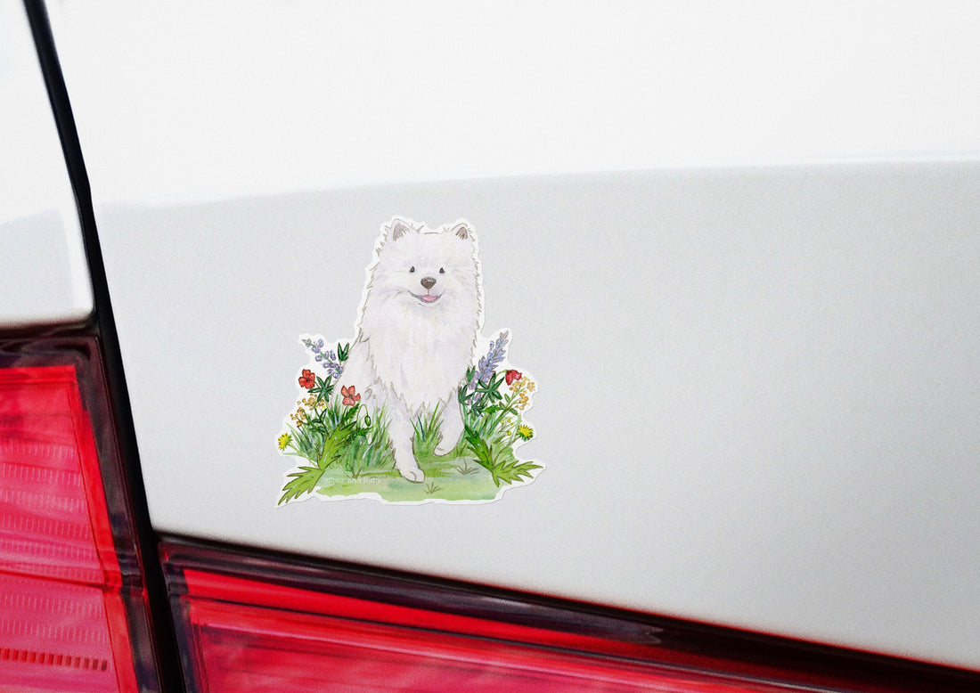 American Eskimo Vinyl Sticker, Eskie Car decal – Jasper and Ruby Art
